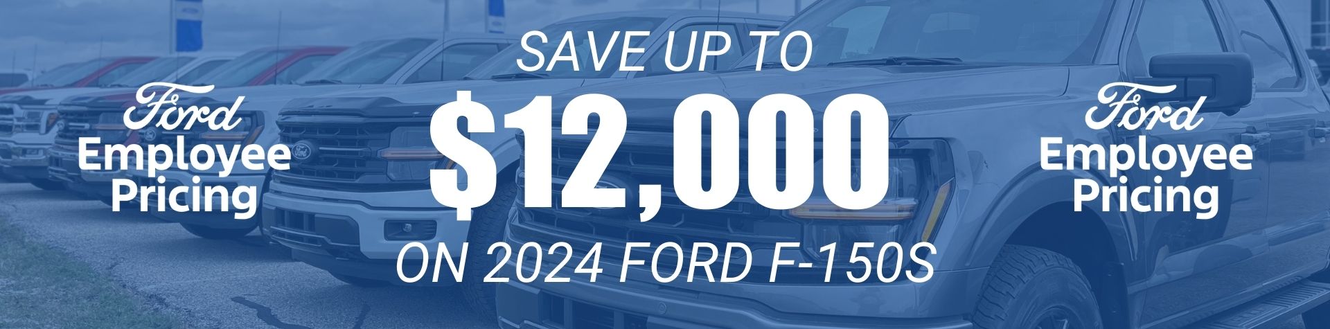 Ford Dealer in Yorkton Saskatchewan | Terry Ortynskys Royal Ford